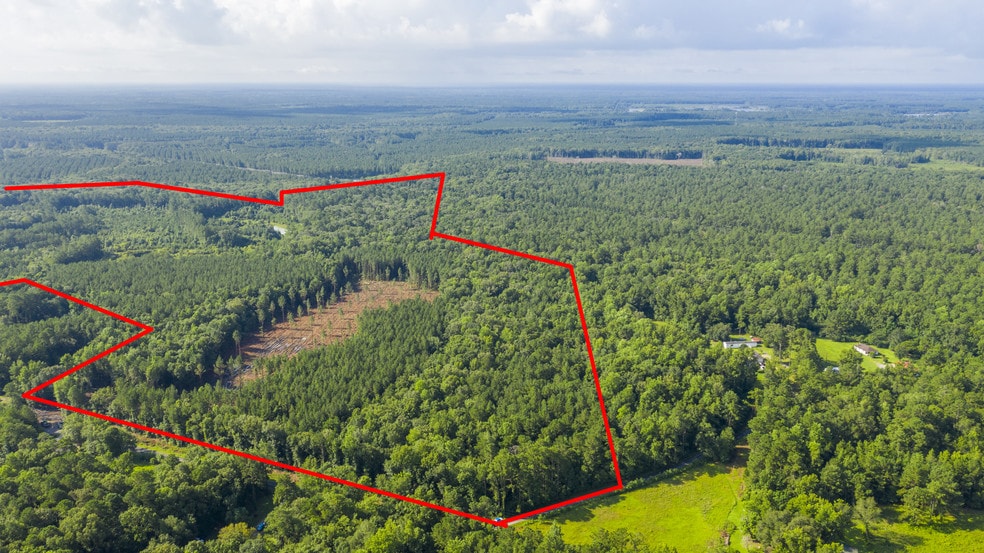 1 Old Beech Hill Rd, Ridgeville, SC 29472