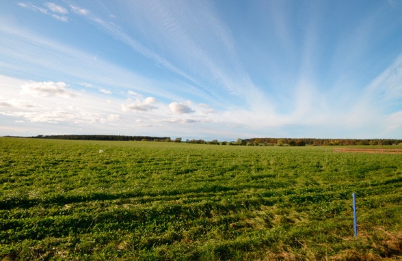 Land Property for Sale in Plot at Brodie, Feddan Farm, Forres, IV36 2TD ...