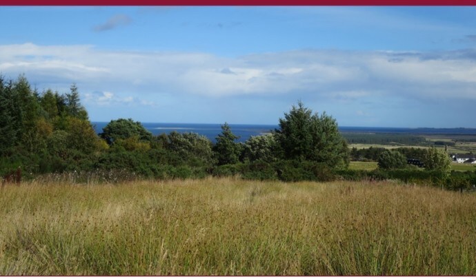 Viewfield Park, Tain IV19 1RJ | LoopNet UK