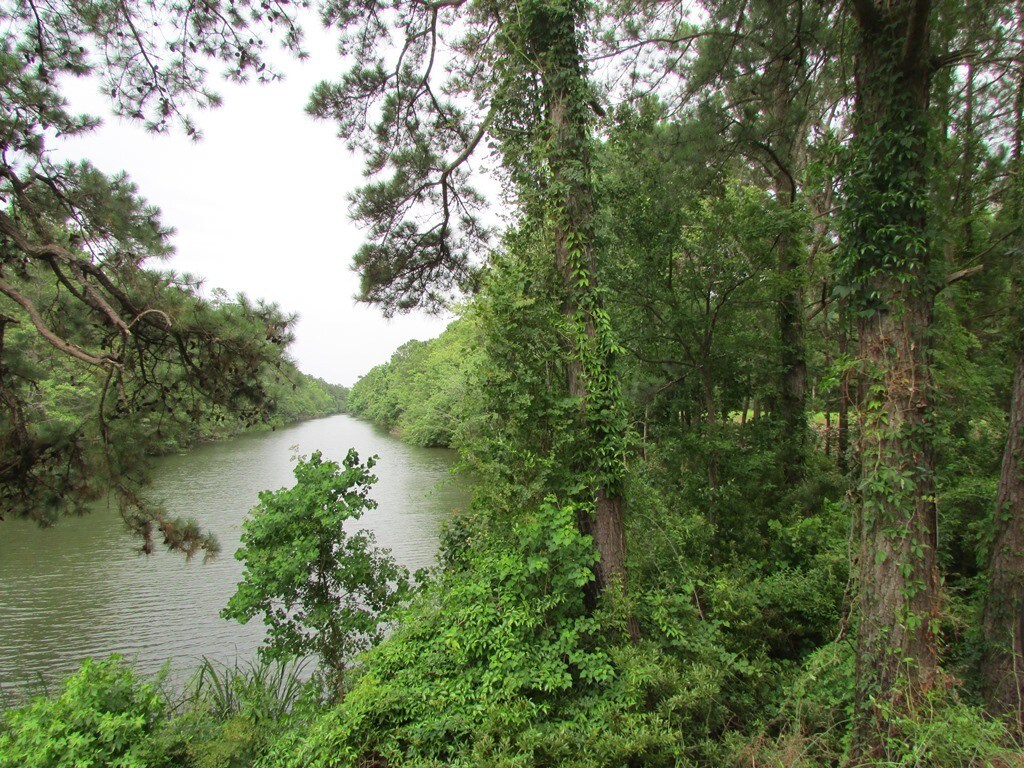 1905 Highway 6, Pinopolis, SC 29469 - USA