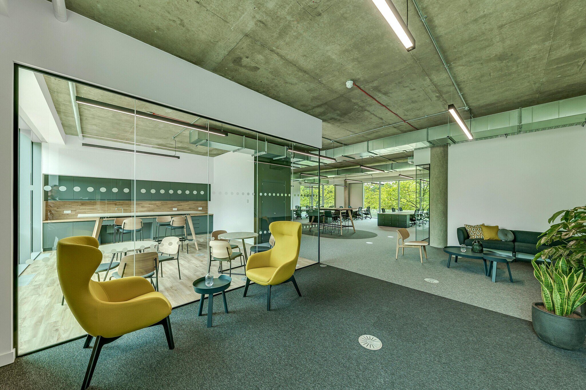 Basingstoke Rd, Reading, RG2 6DA - Campus, Reading International ...