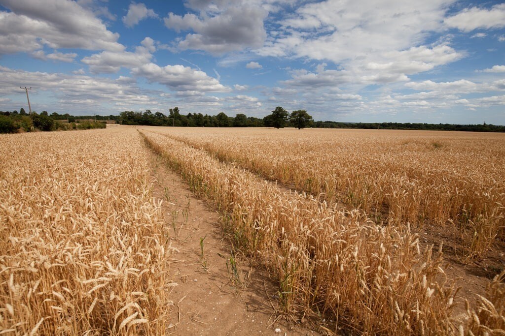 Land Property for Sale in Stubbings Farm Burchetts Green, Maidenhead ...
